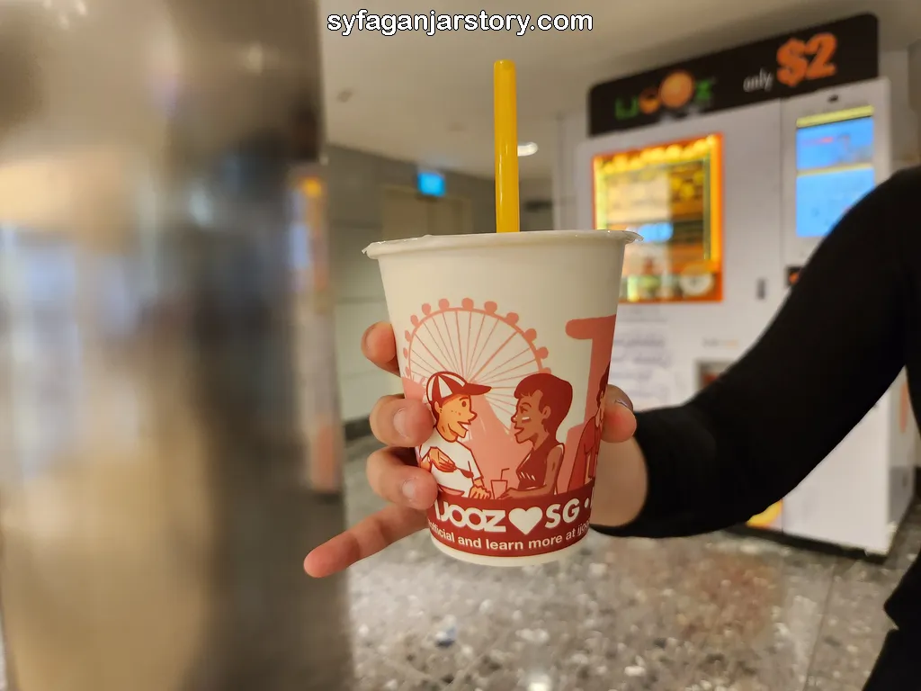 12 Must-Try Singaporean Snacks & Sweets