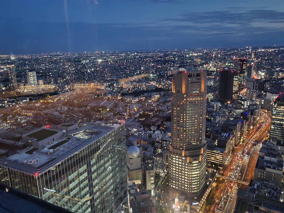 Experiencing Tokyo from the 46th Floor at Shibuya Sky Syfa & Ganjar Story