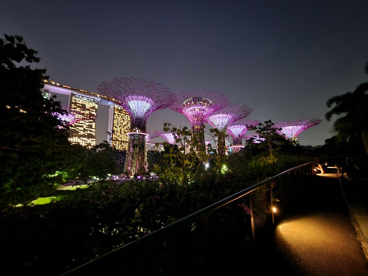 4 Top Spots to Enjoy the Garden Rhapsody Light Show Syfa & Ganjar Story